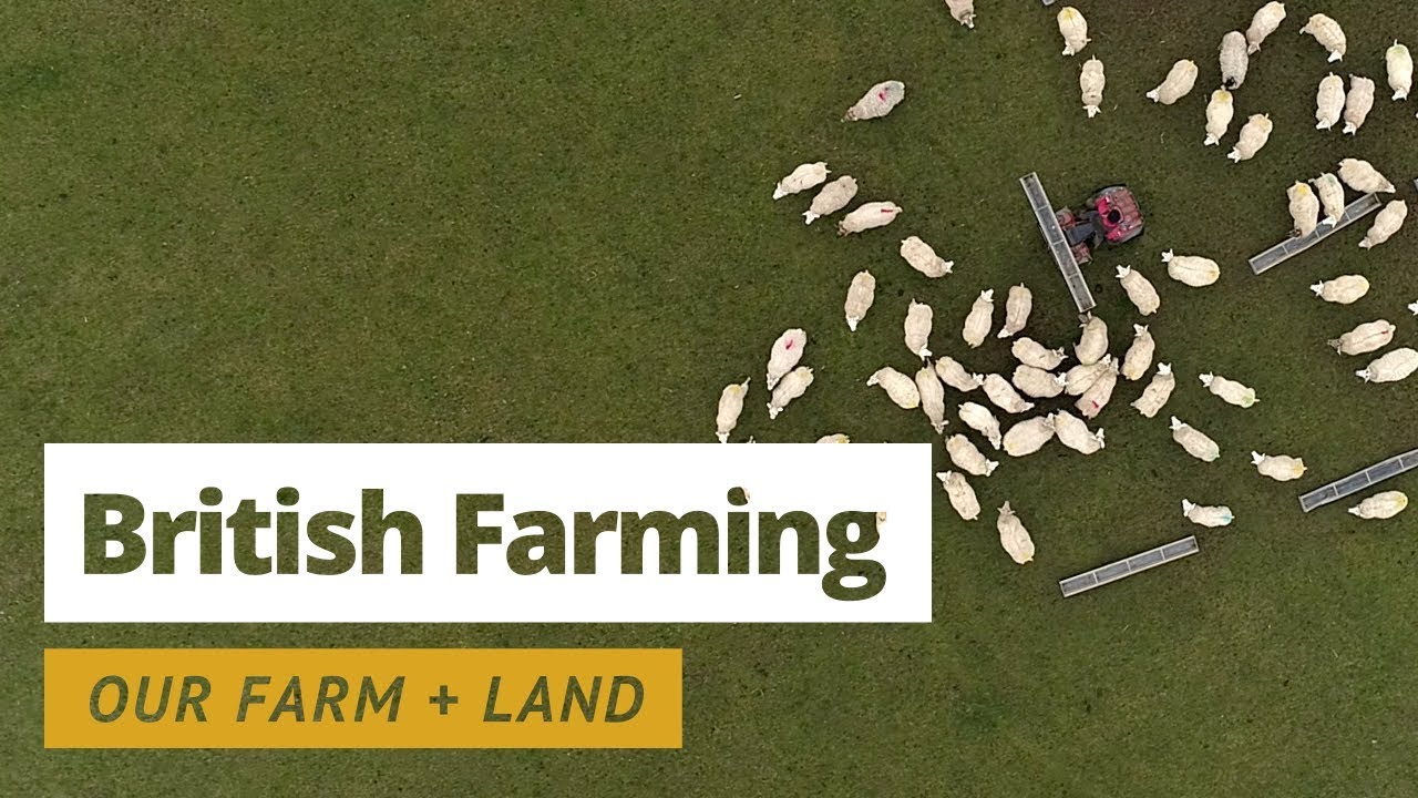 British Farming | Our Farm + Land: Setting the Scene - YouTube