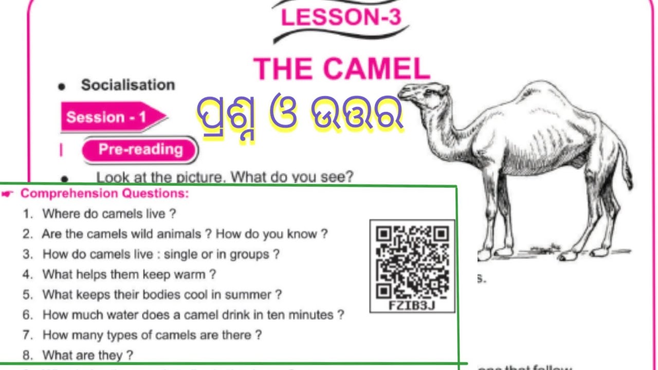 The camel question answer / ସେ ଓଟ ପାଠ ର ପ୍ରଶ୍ନ ଓ ଉତ୍ତର ସପ୍ତମ ଶ୍ରେଣି ...