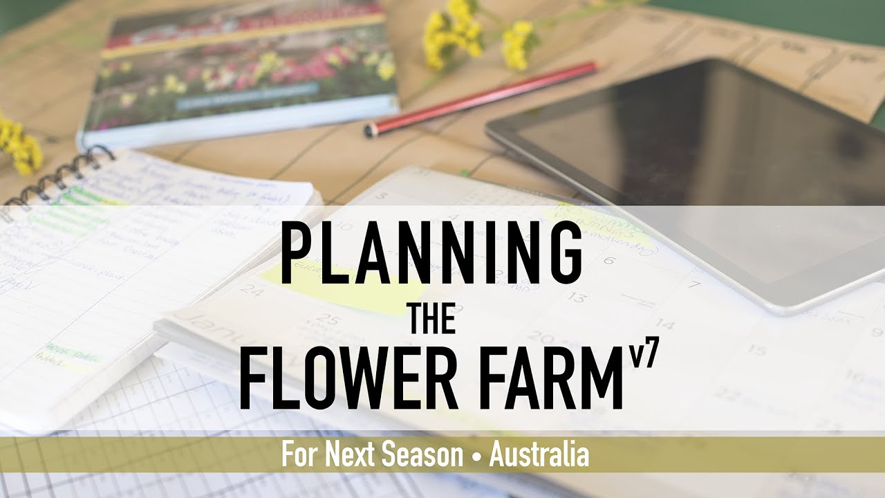 Planning the Flower Farm for Season 2. Cool Flowers. Farm Plan. What Im ...