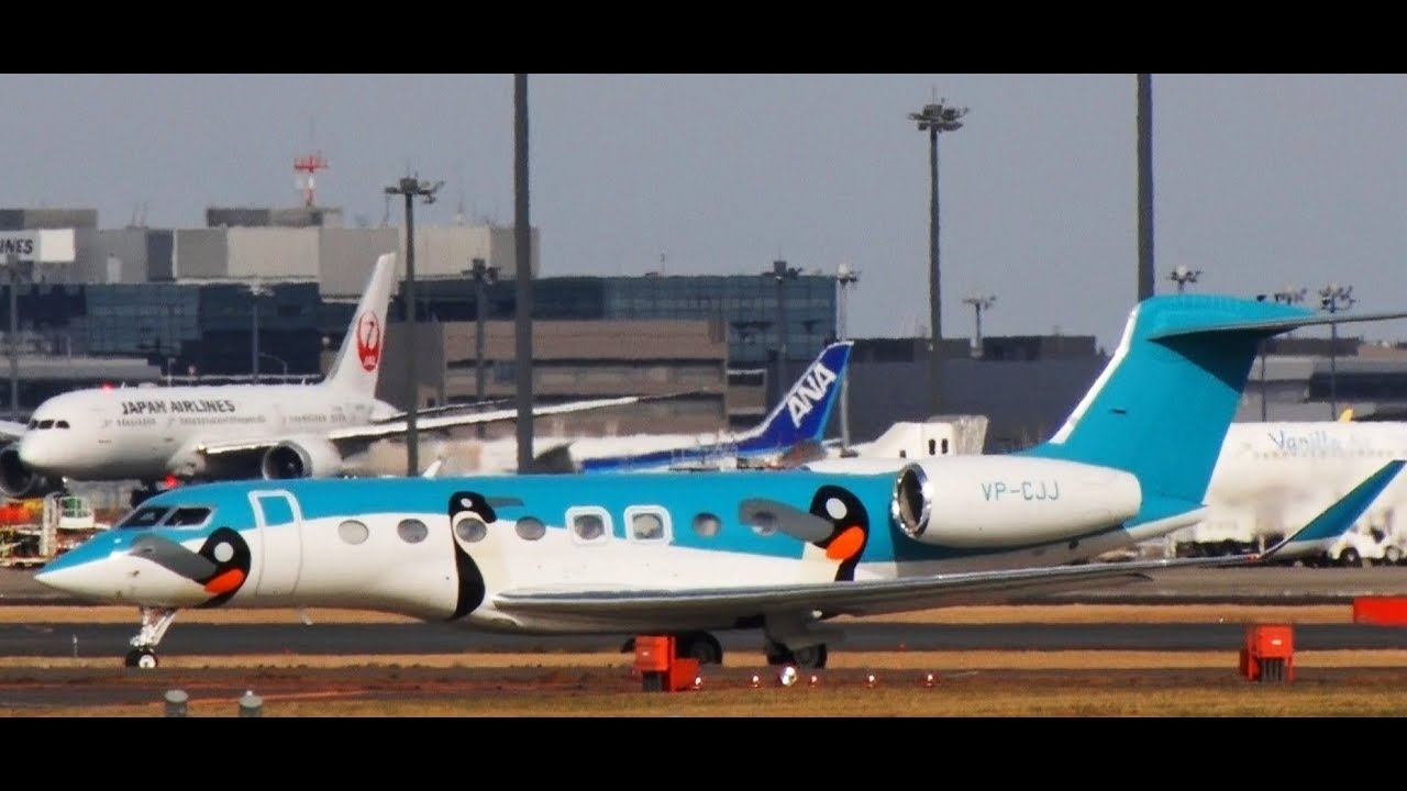 ペンギンが三羽!! Private jet Gulfstream Aerospace G650 (G-VI) VP-CJJ takeoff ...