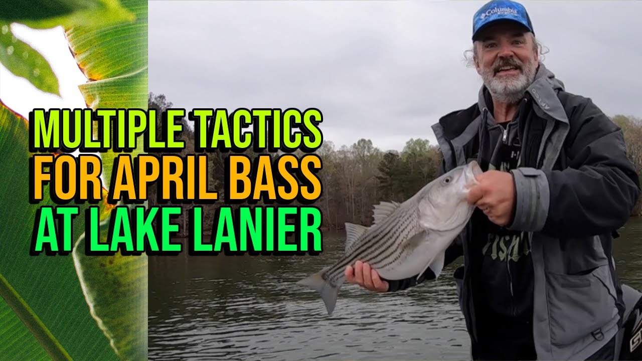 Multiple Tactics For April Bass #lakelanierfishing2023 - YouTube