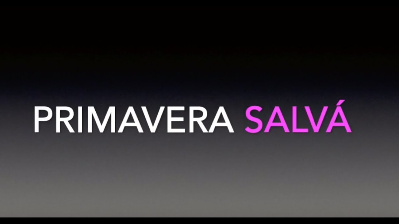 Meeting Primavera Salvá - YouTube