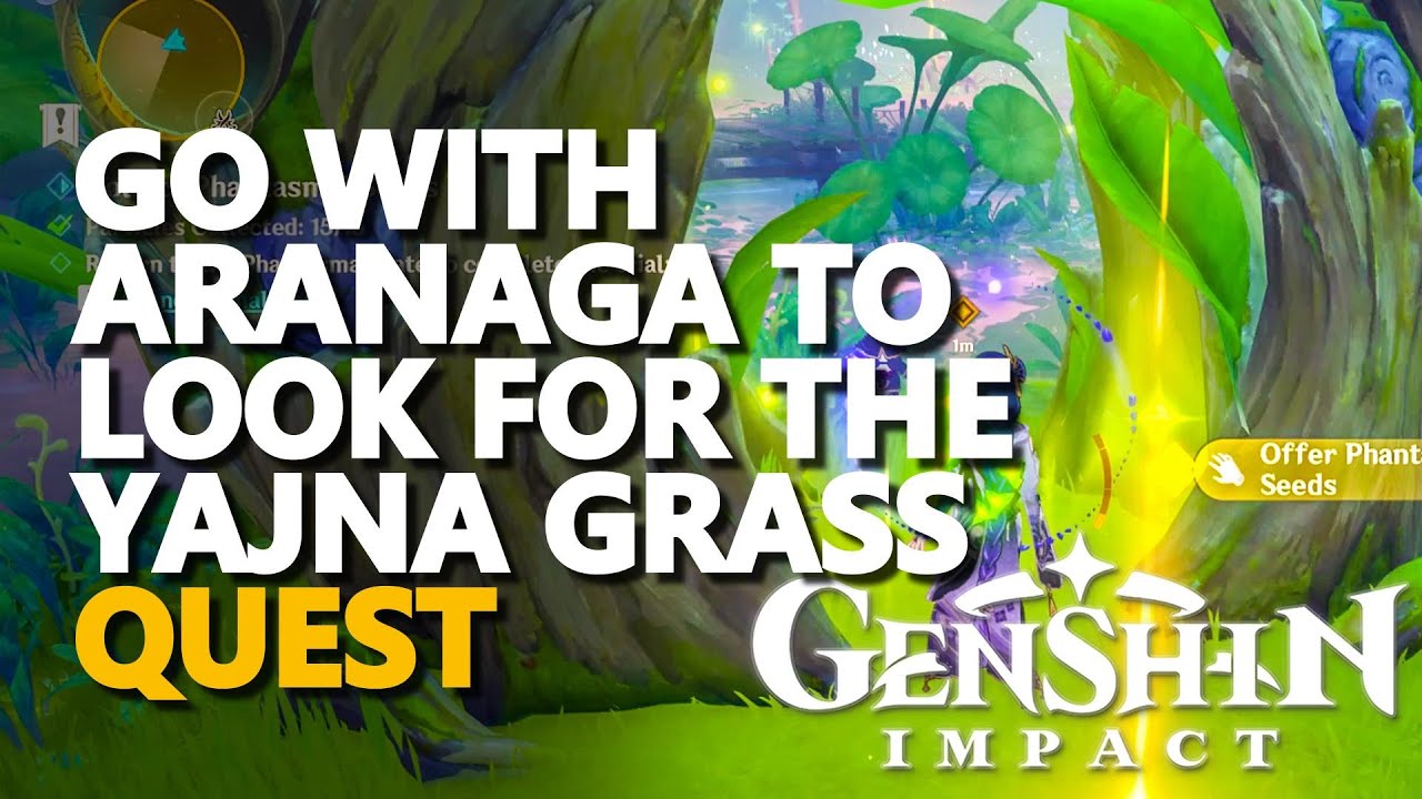 Go with Aranaga to look for the Yajna Grass Genshin Impact - YouTube