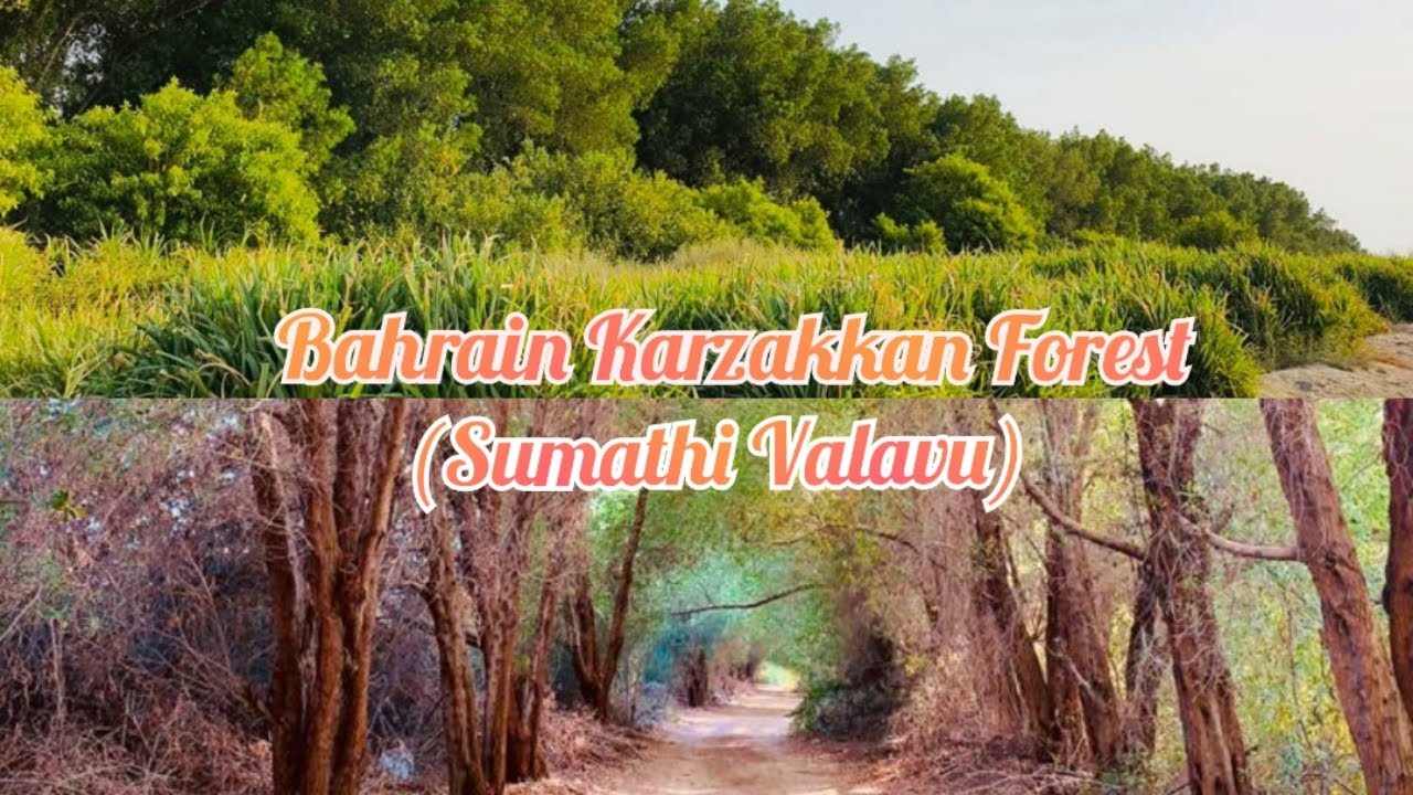 Bahrain Karzakkan Forest II Sumathi Valavu - YouTube