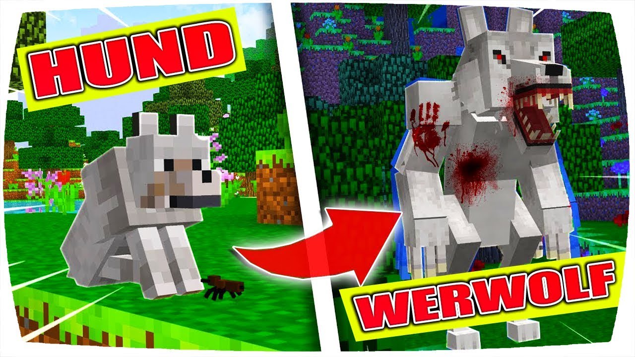 Mein neuer Hund verwandelt sich in einen Werwolf! 😱 | mit Eiterbeule ...