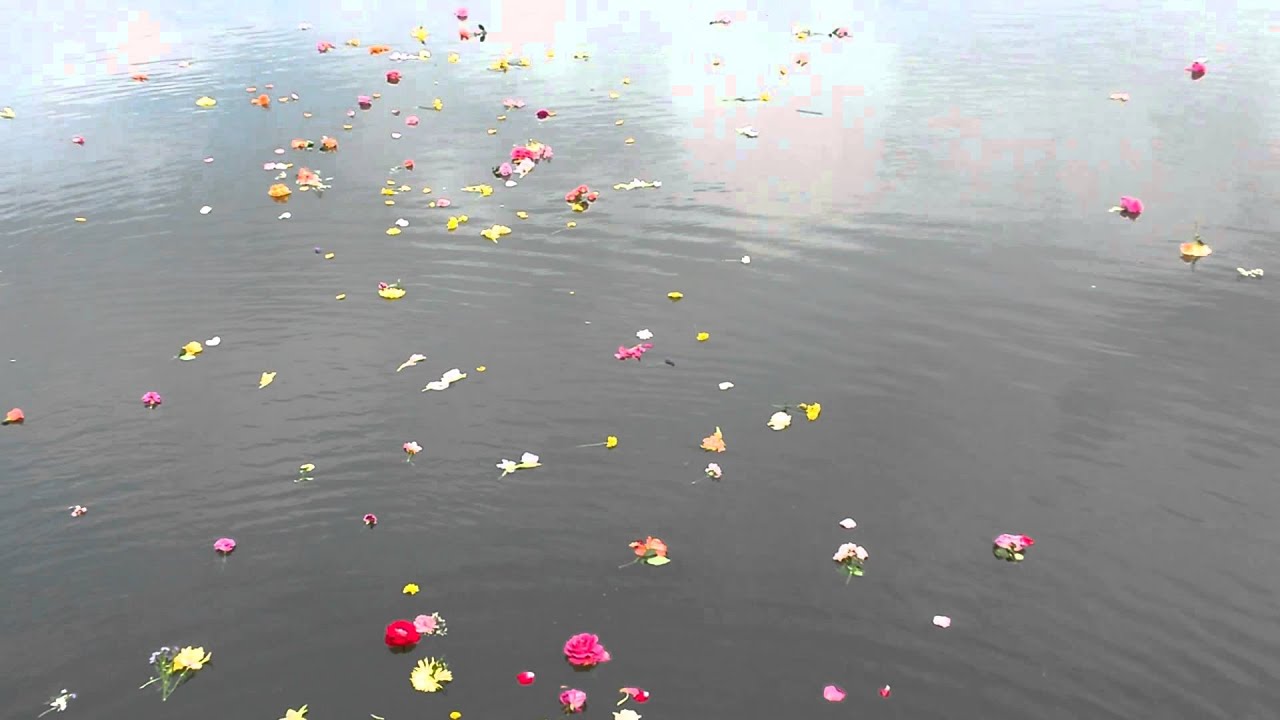 My cusen memorial - YouTube