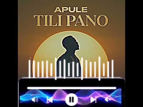 Diamond platinum Ft. Namadiingo x APULE Tili pano Official music video HD