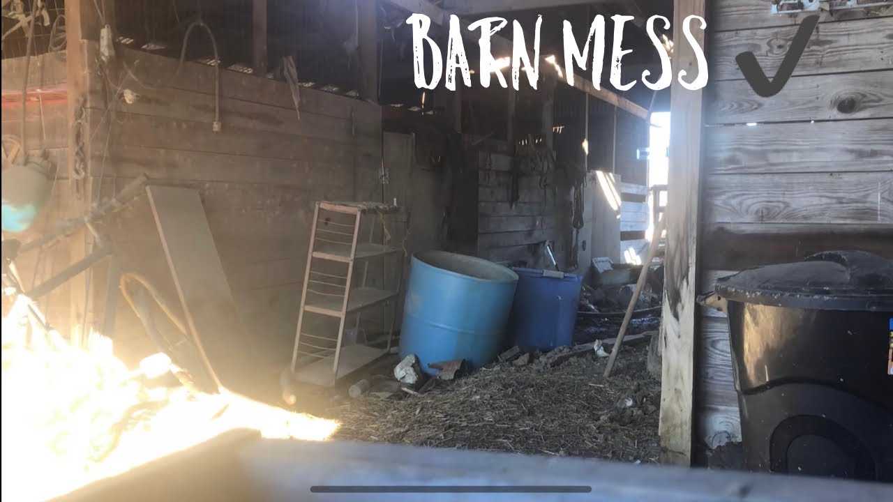 Barn mess - YouTube
