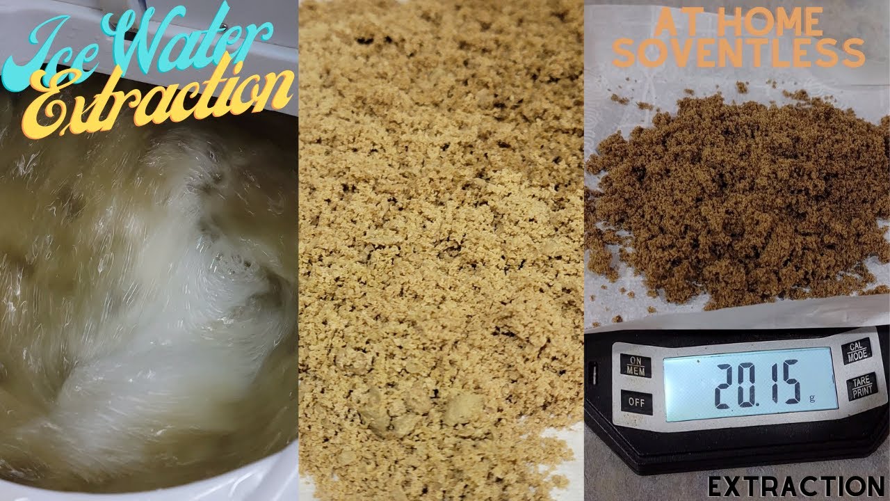 Ice Water Extraction (Bubble Hash) Of Saved Up Trim - YouTube