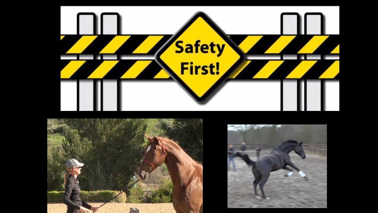How to Stay Safe Around Horses: Horse Body Language - YouTube