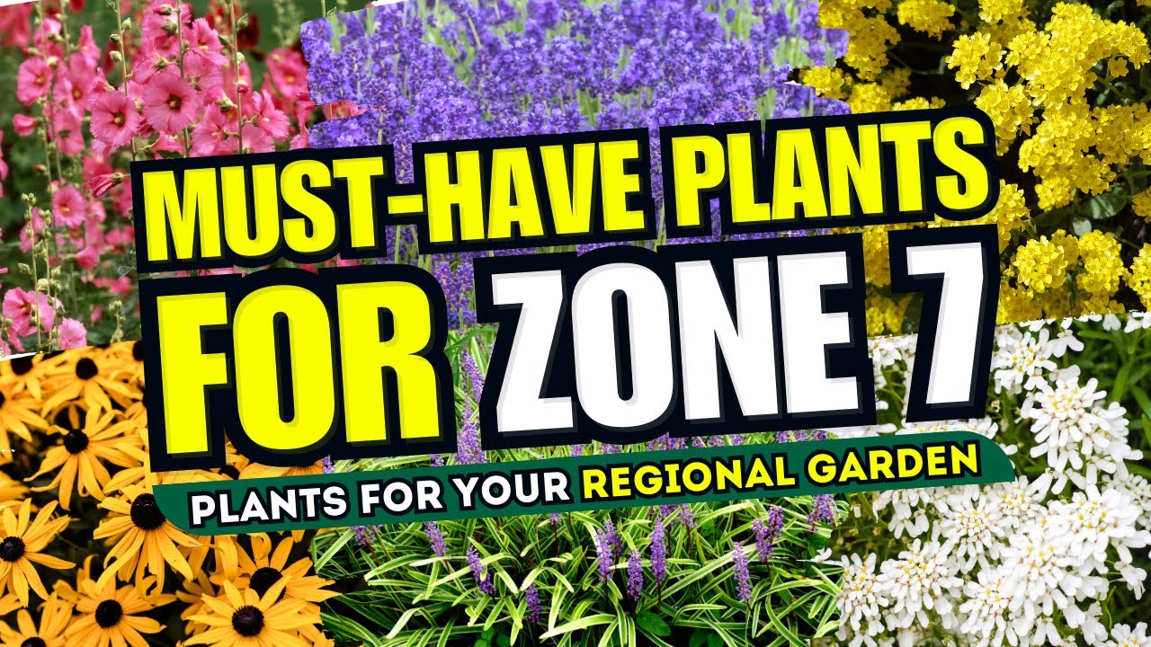 😱 ZONE 7 GARDENING GOLD! - Top 10 MUST-HAVE PLANTS for Your Regional ...
