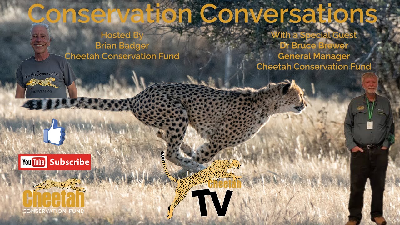 Habitat Restoration & Biomass Solutions: Dr. Bruce Brewer at the Global ...