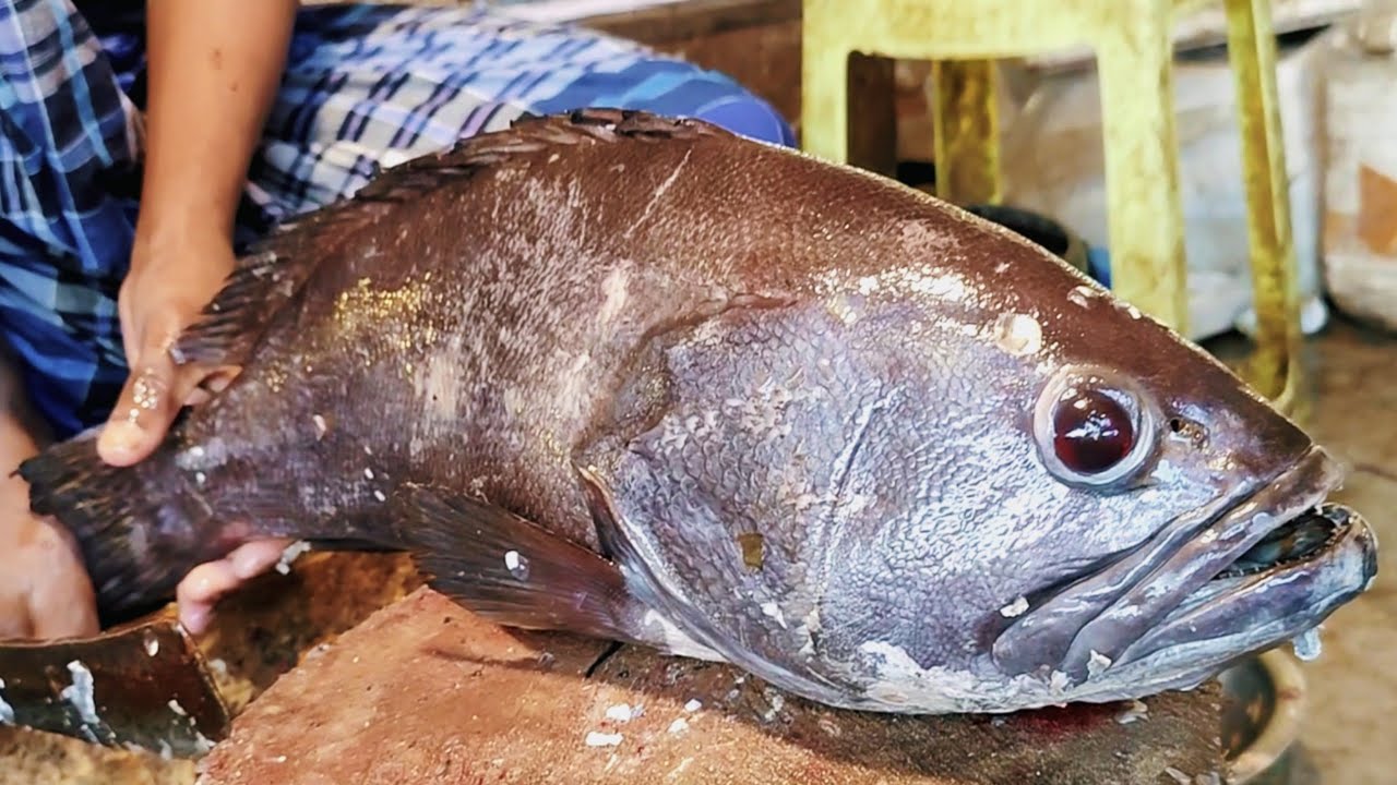 Amazing Giant Black Hamour Fish Cutting Skills Live In Bangladesh Fish ...