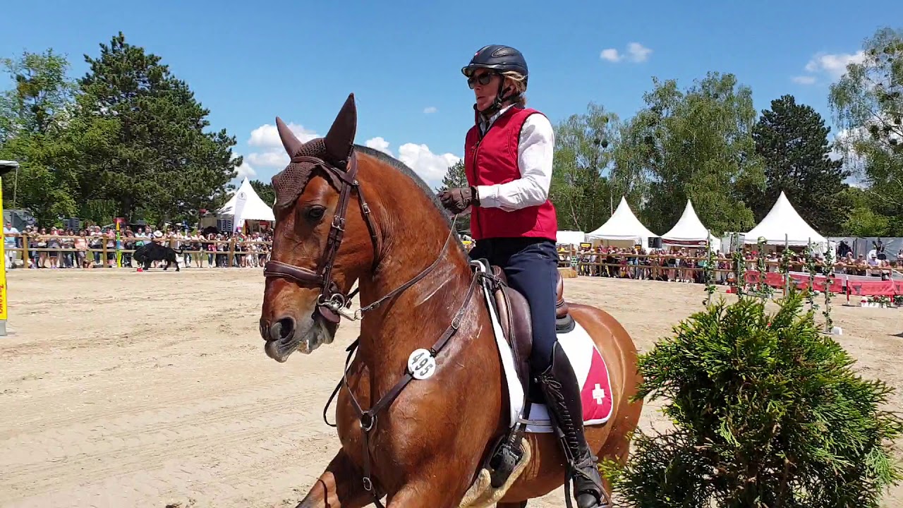 WED Nations Cup 2019 Munich Working Equitation Competition Speed Carène ...