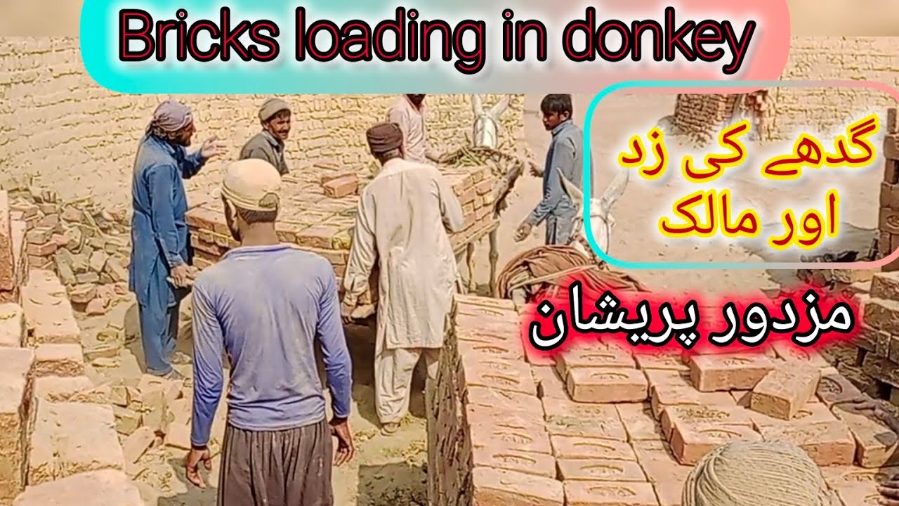 Bricks loading on donkey /village technology - YouTube