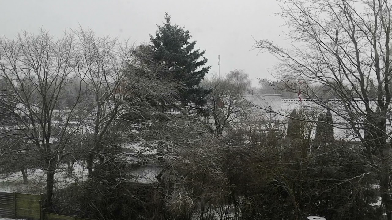Snowstorm in Denmark 🇩🇰 - YouTube