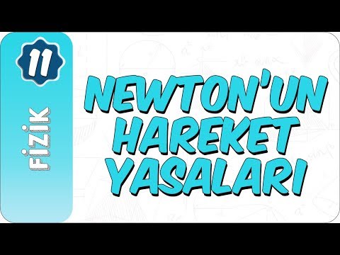 11. Sınıf Fizik | Newton'un Hareket Yasaları