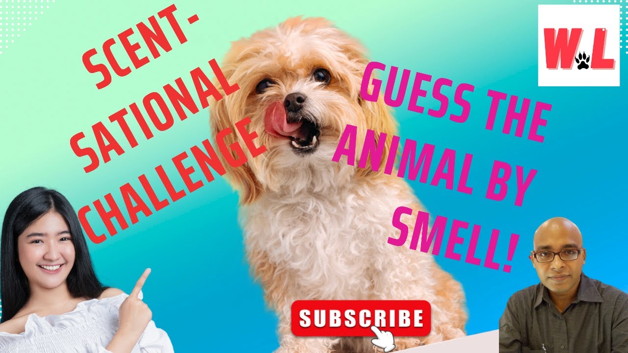 Scent-sational Challenge: Guess the Animal by Smell - YouTube