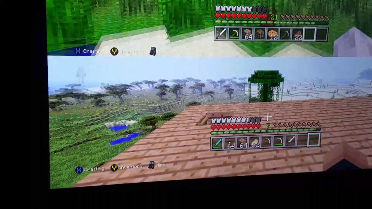 1st and 2nd point of view minecraft gameplay - YouTube