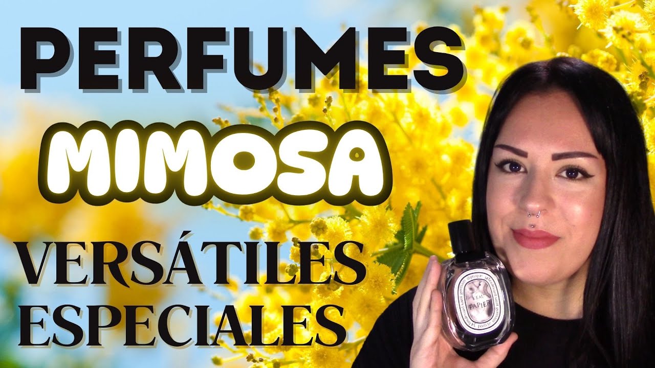 7 PERFUMES DE MIMOSA💛VERSÁTILES Y MUY ESPECIALES💛 - YouTube