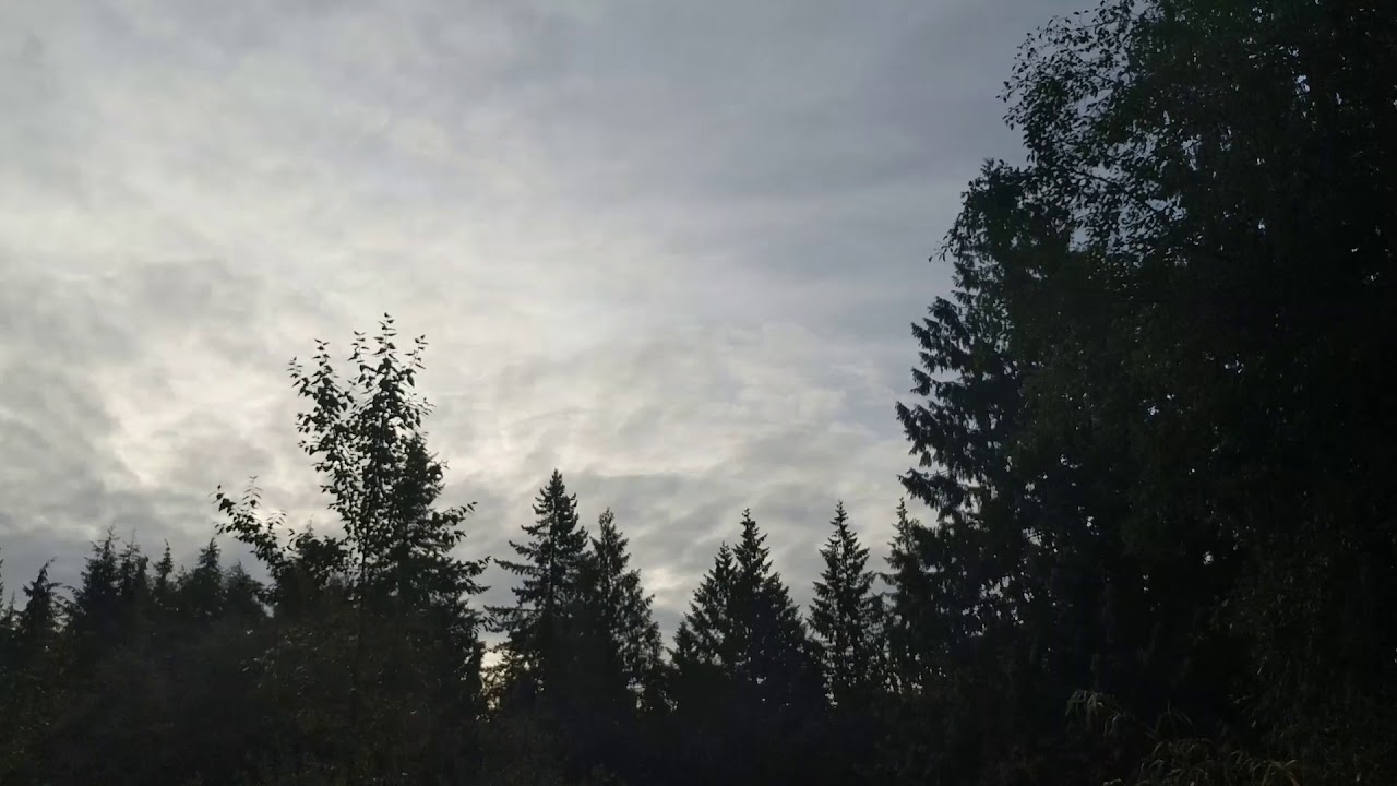 Morning imagine - YouTube