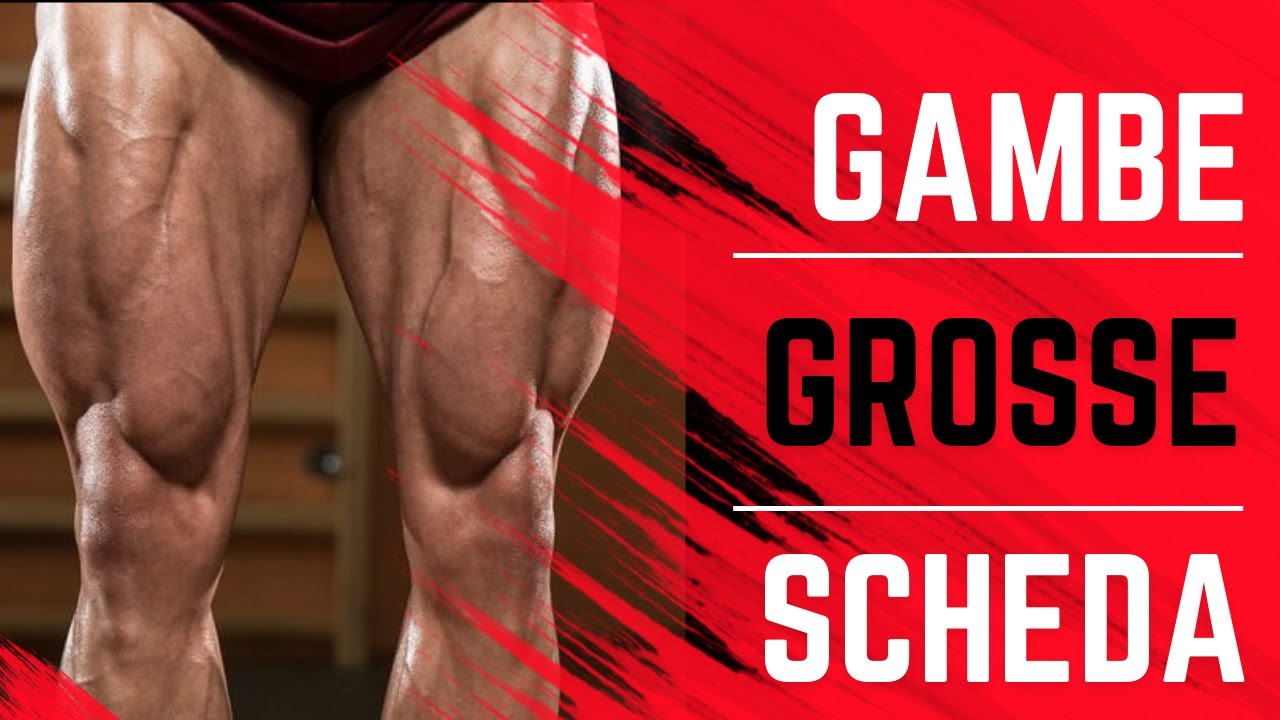 Gambe GROSSE - Scheda d'Allenamento Avanzata - Workout ed Esercizi ...