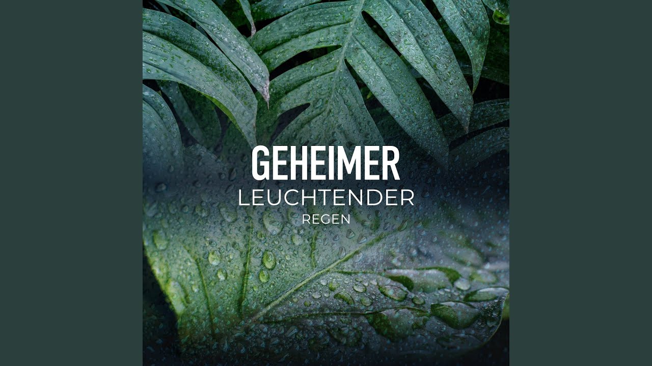 Steigender und fallender Regen - YouTube Music