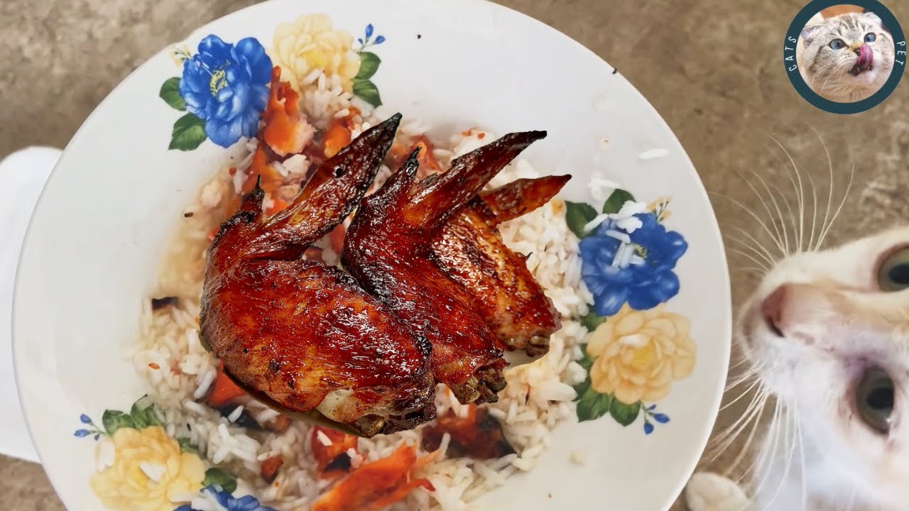 Roasted Chicken for Cats and Dogs | Ep. 016 - YouTube