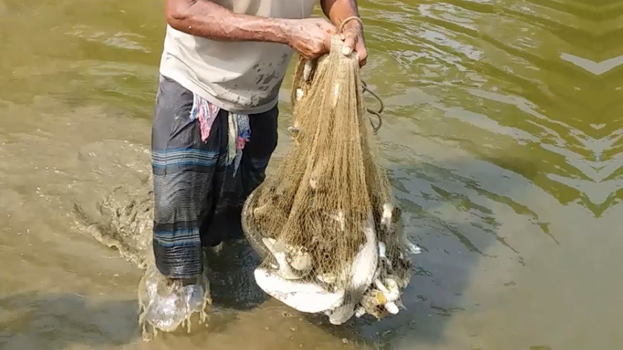 Net Fishing | Catching lots of Fish using Cast net | Fishing in a ...