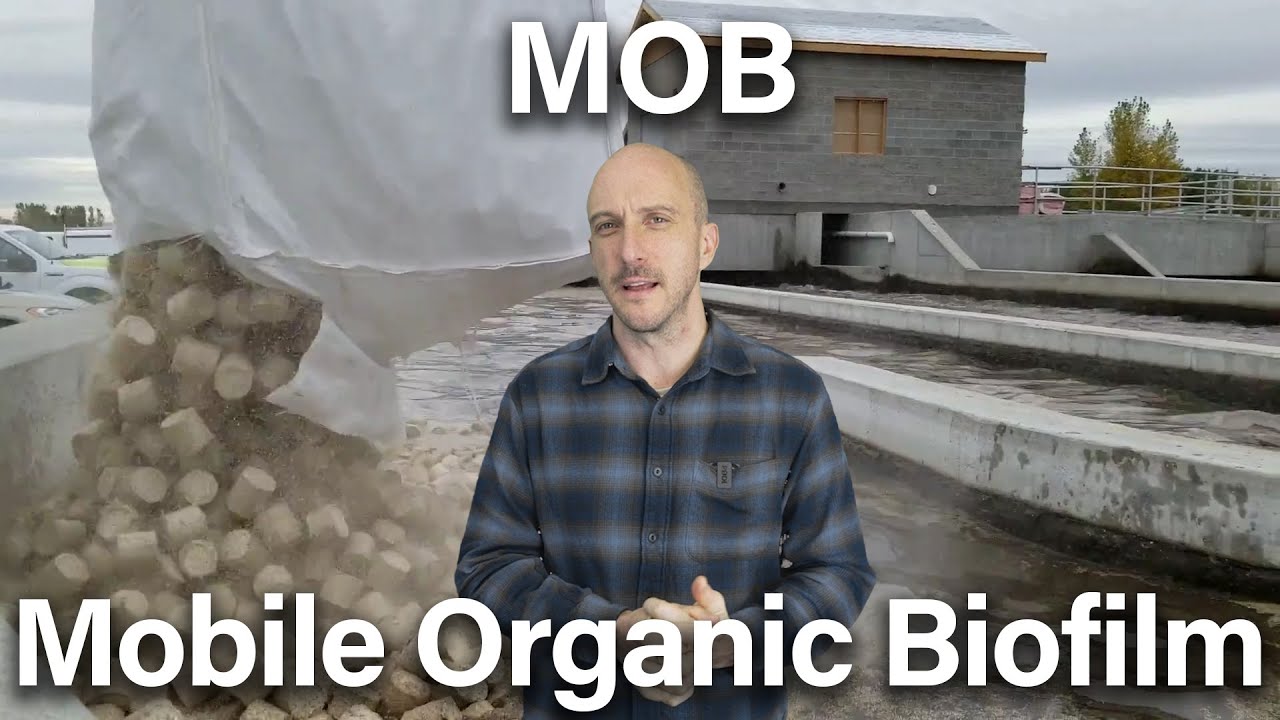 Why MOB Might be a Great Choice to Improve Your Wastewater Treatment ...