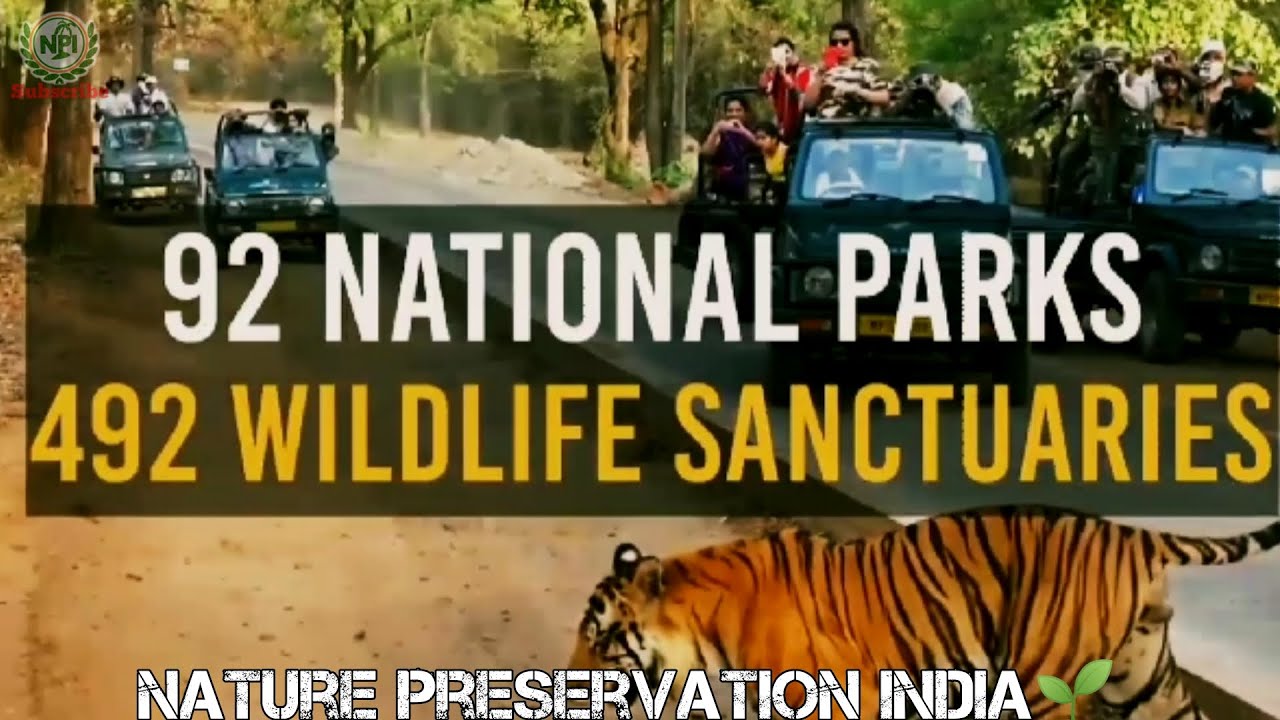 wildlife protection,act 1972 save animals ,savenature wildlife ...