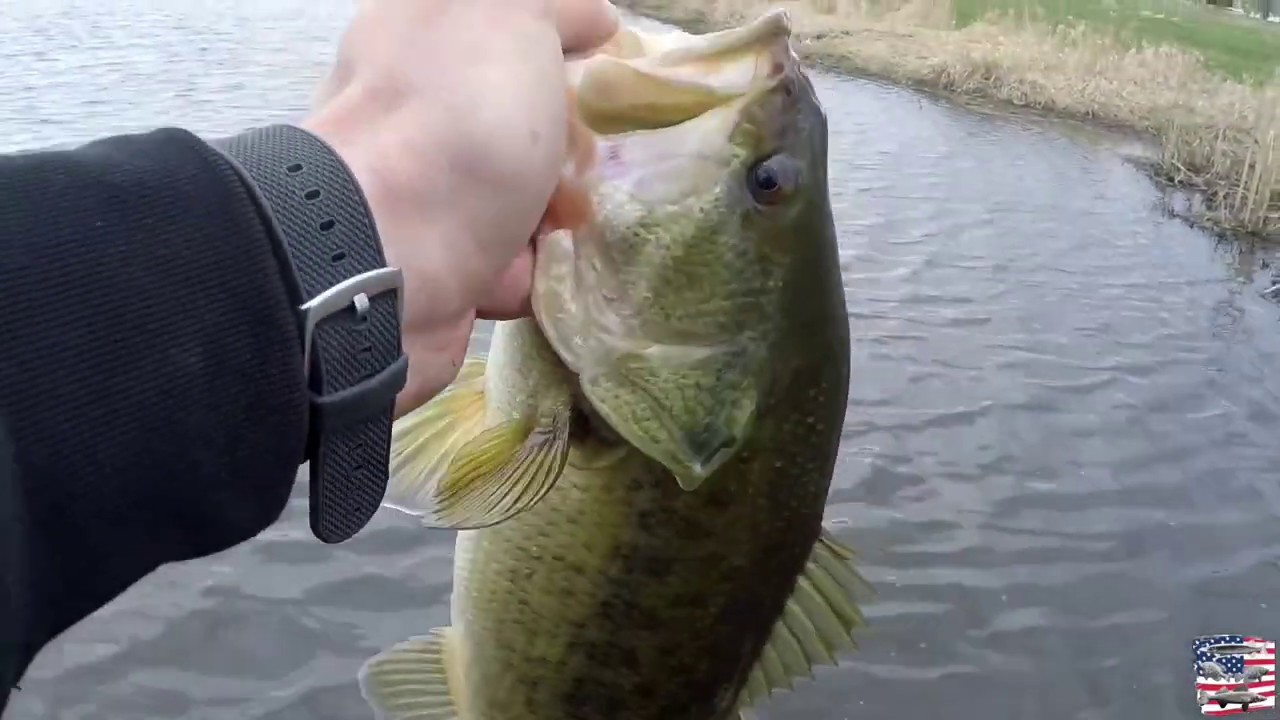 2020 Early Spring Bass Fishing - Ep. 02 - YouTube
