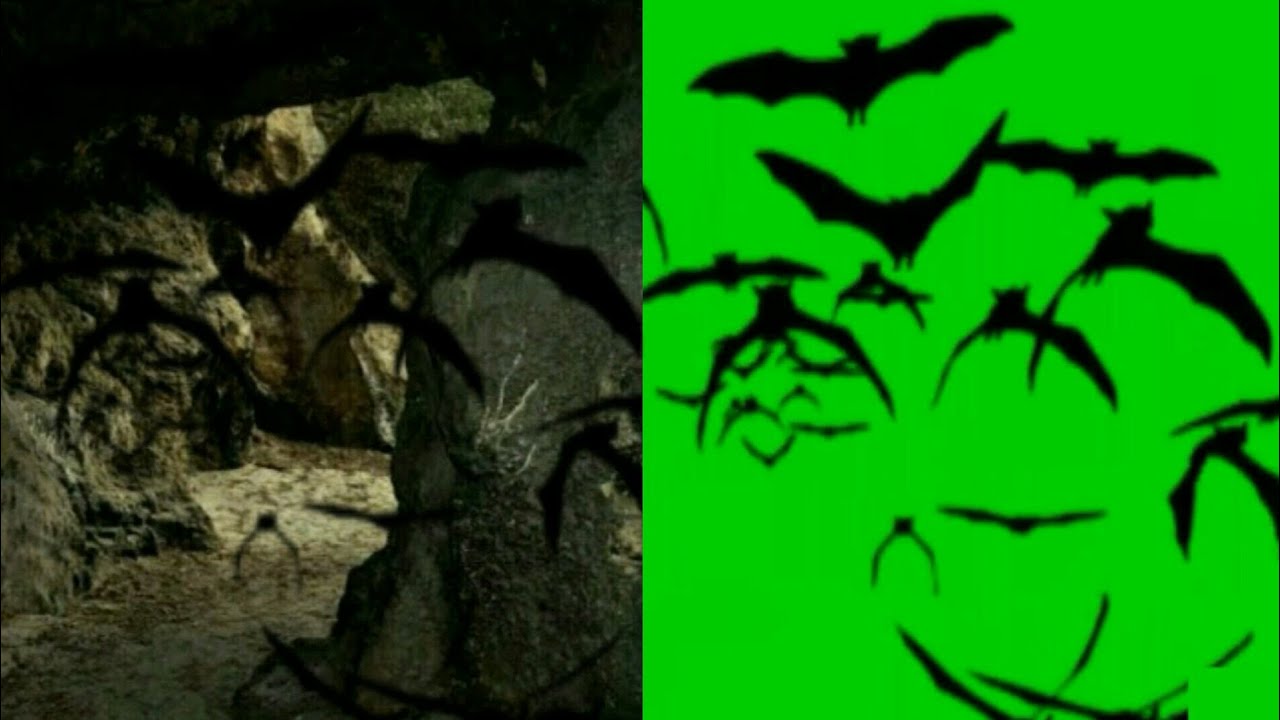 Green screen bats. Green screen bat flying. Rise of zi. - YouTube