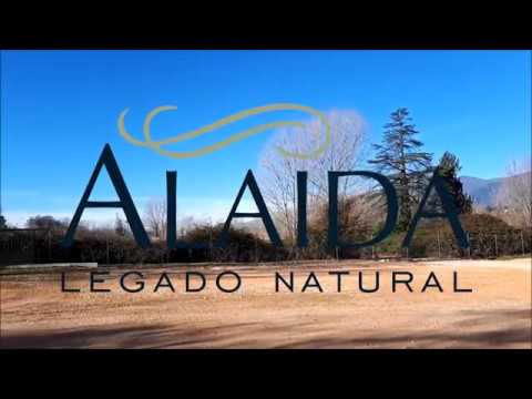 alaida en - YouTube