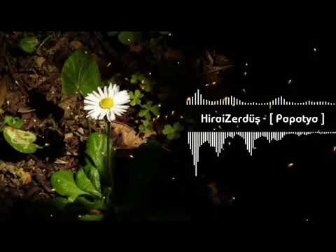 Whatsapp durum için kısa videolar.