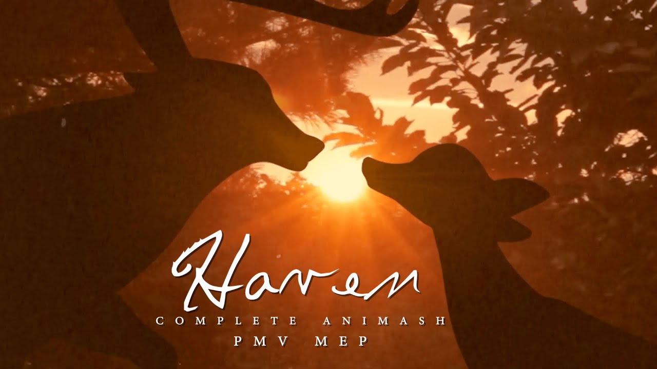 haven | animash PMV MEP - YouTube