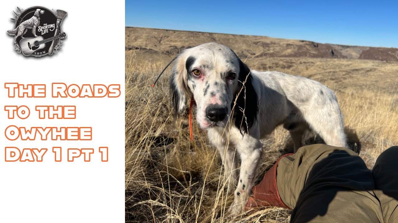 Those dang birds!!!! Chukar Hunting Day 1 - YouTube