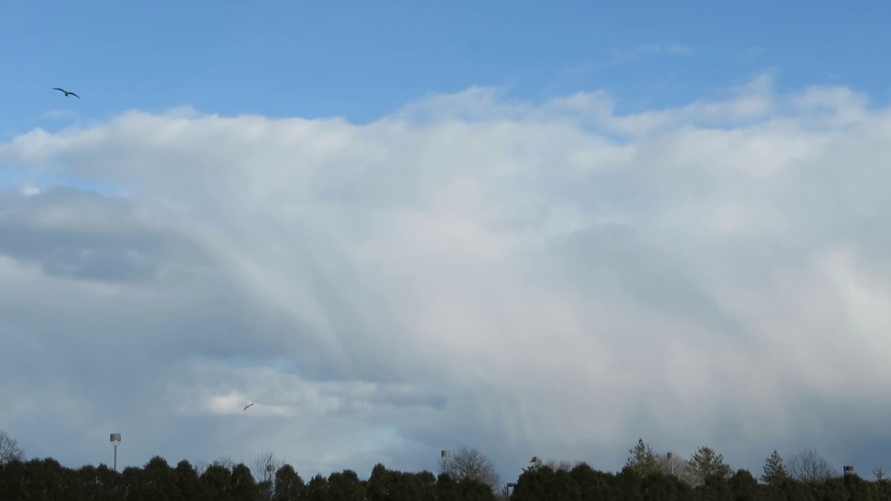 Virga from Snow Showers in the sky on a Blustery Saturday Leap Day ...