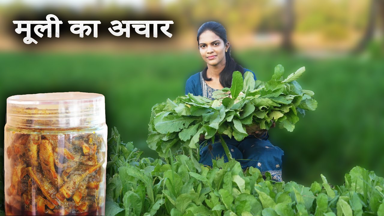मूली का अचार |Traditional Muli Ka Achar | Village style | Clay Pot ...