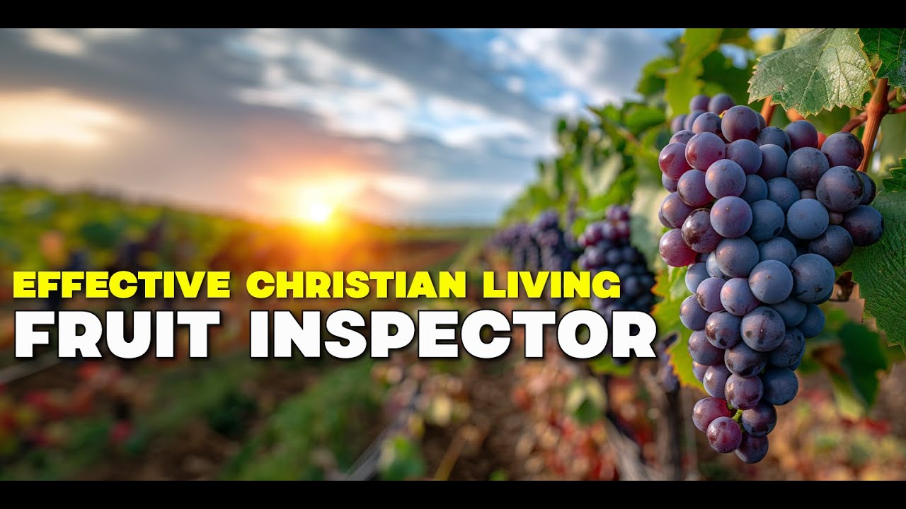 The Power of Fruit: Demonstrating God's Glory through Visible ...
