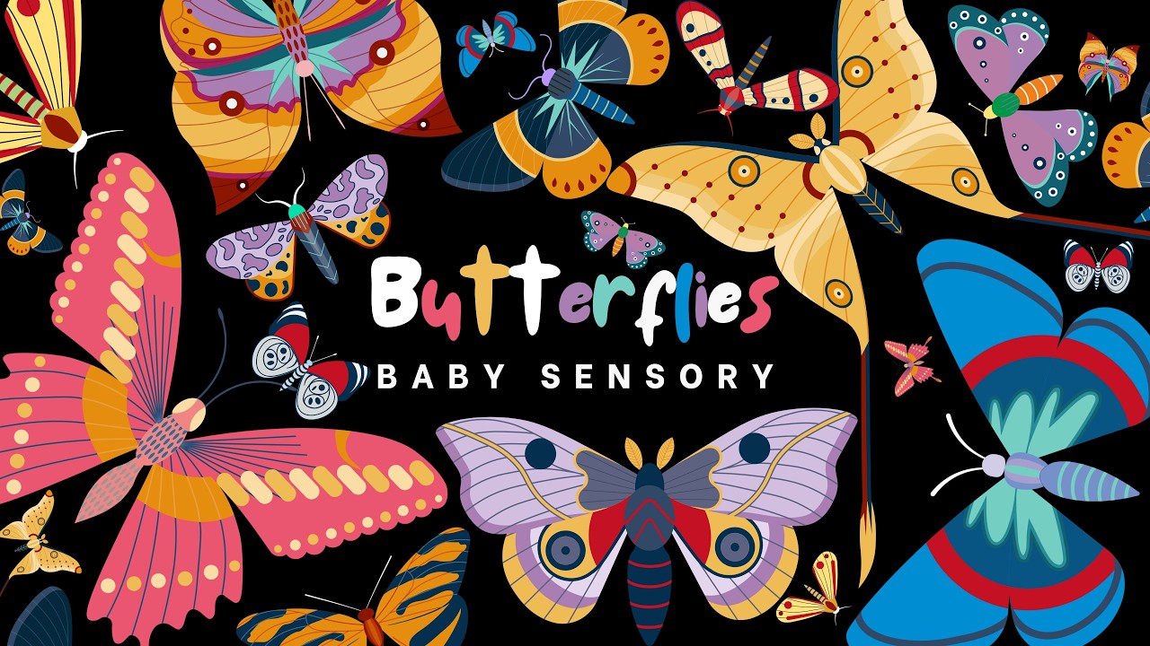 Sensory Butterfly Delight 🦋 High Contrast Eye Tracking | Flower Visual ...