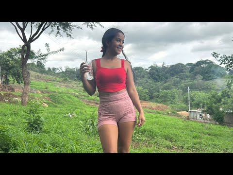 Recogiendo Nances - YouTube