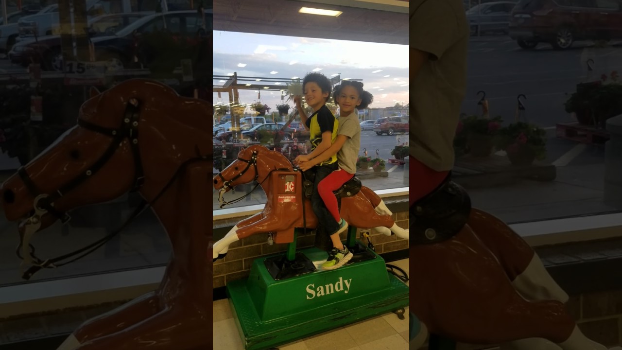 Sandy the meijer horse! - YouTube