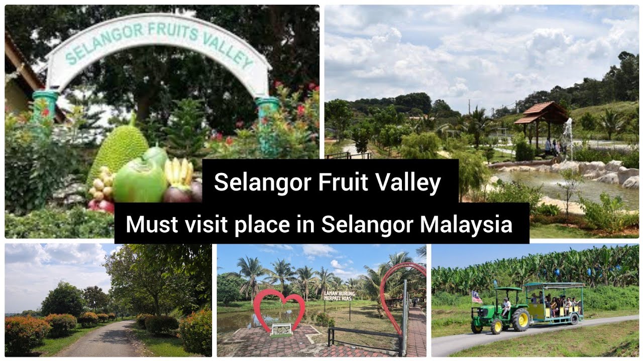 Selangor Fruit Valley | A day trip in trem to fruit valley | Must visit ...
