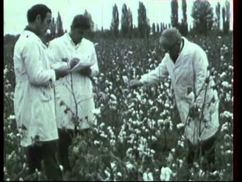 Hüseynov Əmir Musa oğlu haqqında sənədli film