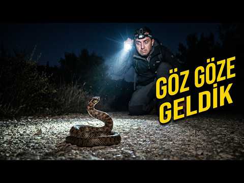 Gece Doğada Beklenmedik Misafir: Yılanla Karşılaşma