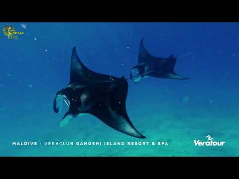 Veraclub Gangehi Island Resort & Spa - Atollo di Ari | Maldive