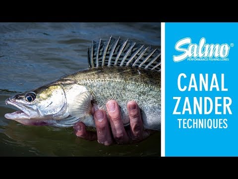 ***SALMO UK*** ZANDER-TECHNIKEN AM KANAL