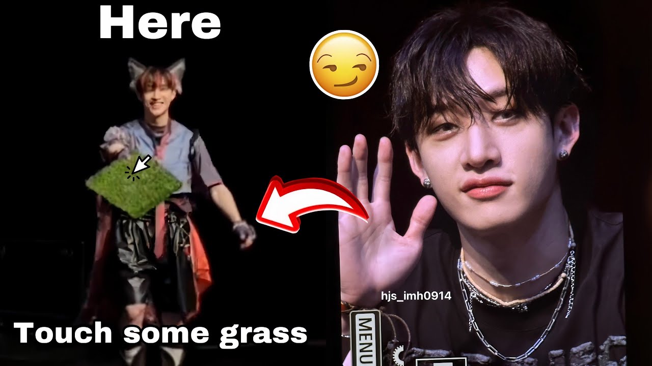 Stray Kids Bang Chan's funny moments when fans gave him grass - YouTube