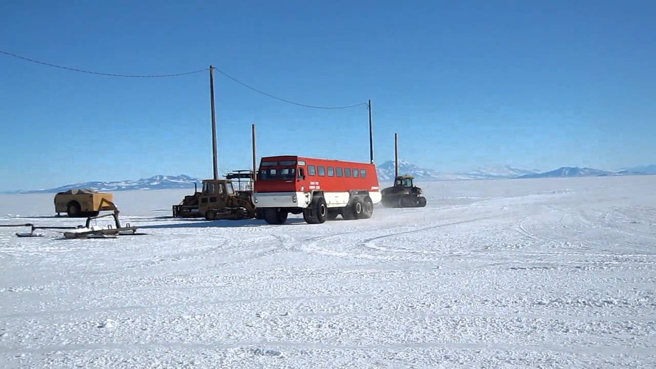 Ivan the Terra Bus Arrives - YouTube